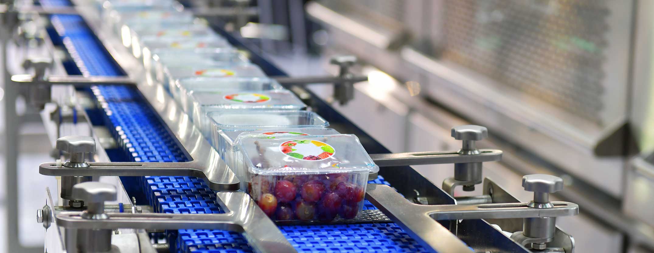 Material Handling Solutions Engineered for Food & Beverage